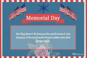 Creative and Design American Memorial Day Cards