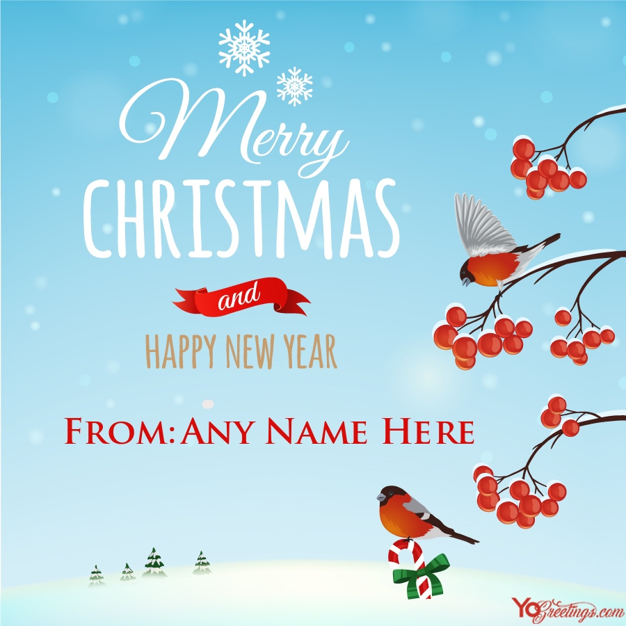 Bulk Christmas Cards 2023 Top The Best Famous Cheap Christmas Flowers 